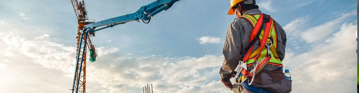 Our disciplines and areas of expertise: Dorsch Global