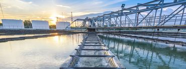 Your international consulting and engineering partner: Dorsch Global